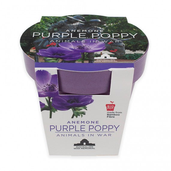 Seedling kit: Grow-Your-Own, Purple poppy – Australian War Memorial